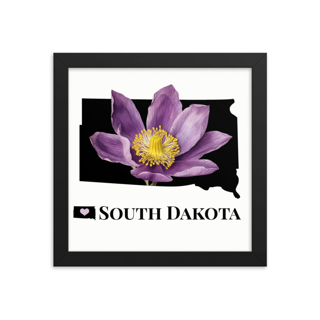 South Dakota Art Print, State Flower, Pasque, Framed Print, SD Map ...
