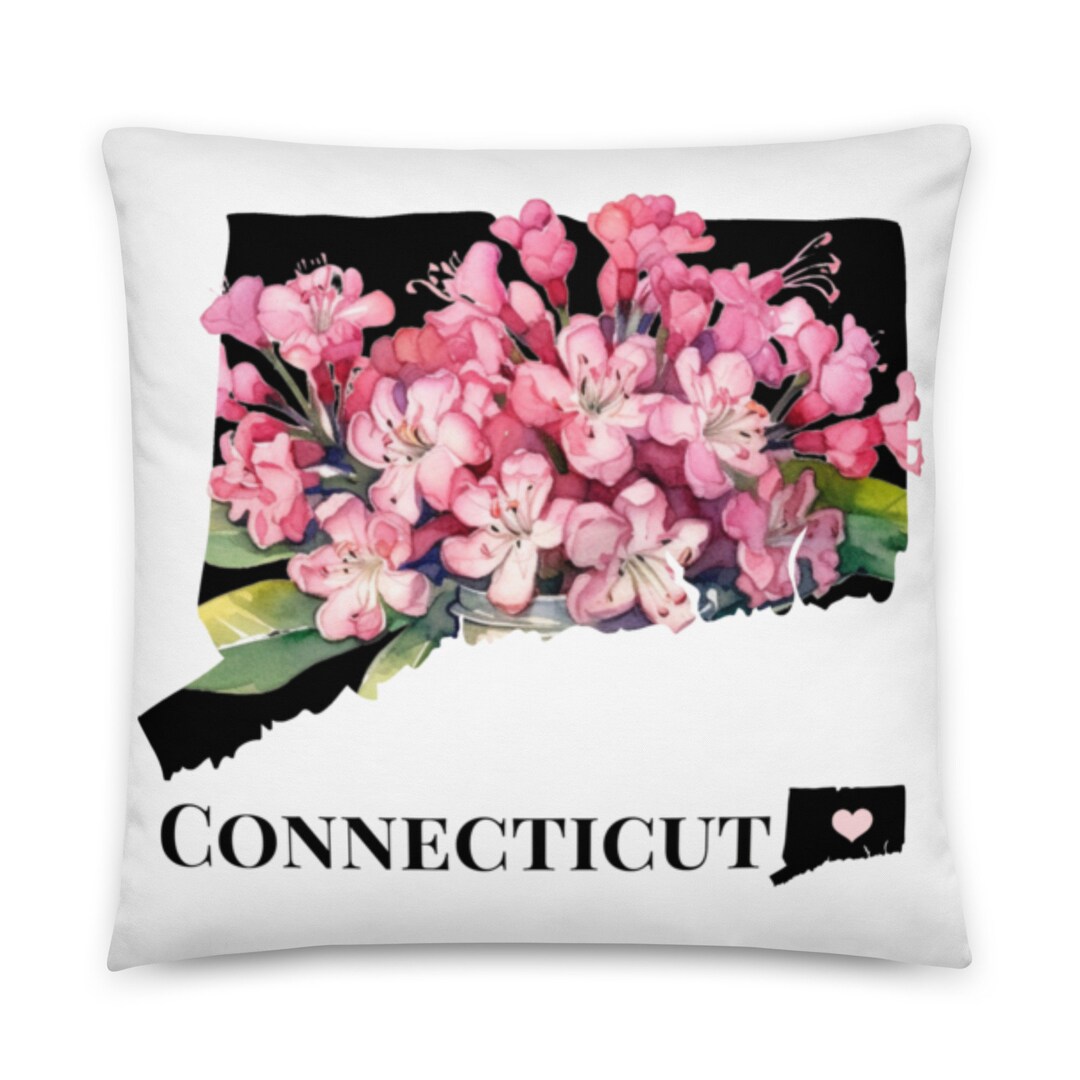 Connecticut Map Pillow With State Flower, Mountain Laurel, CT Throw ...