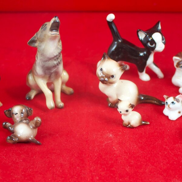 Bone China Miniature - Etsy