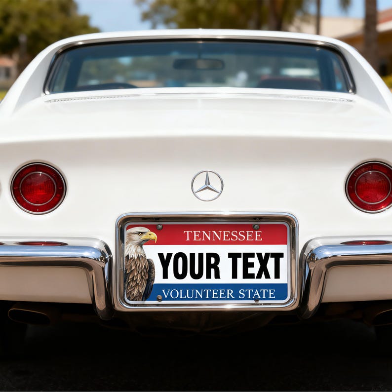 North Carolina Custom License Plate, Personalized NC Souvenir Plate ...
