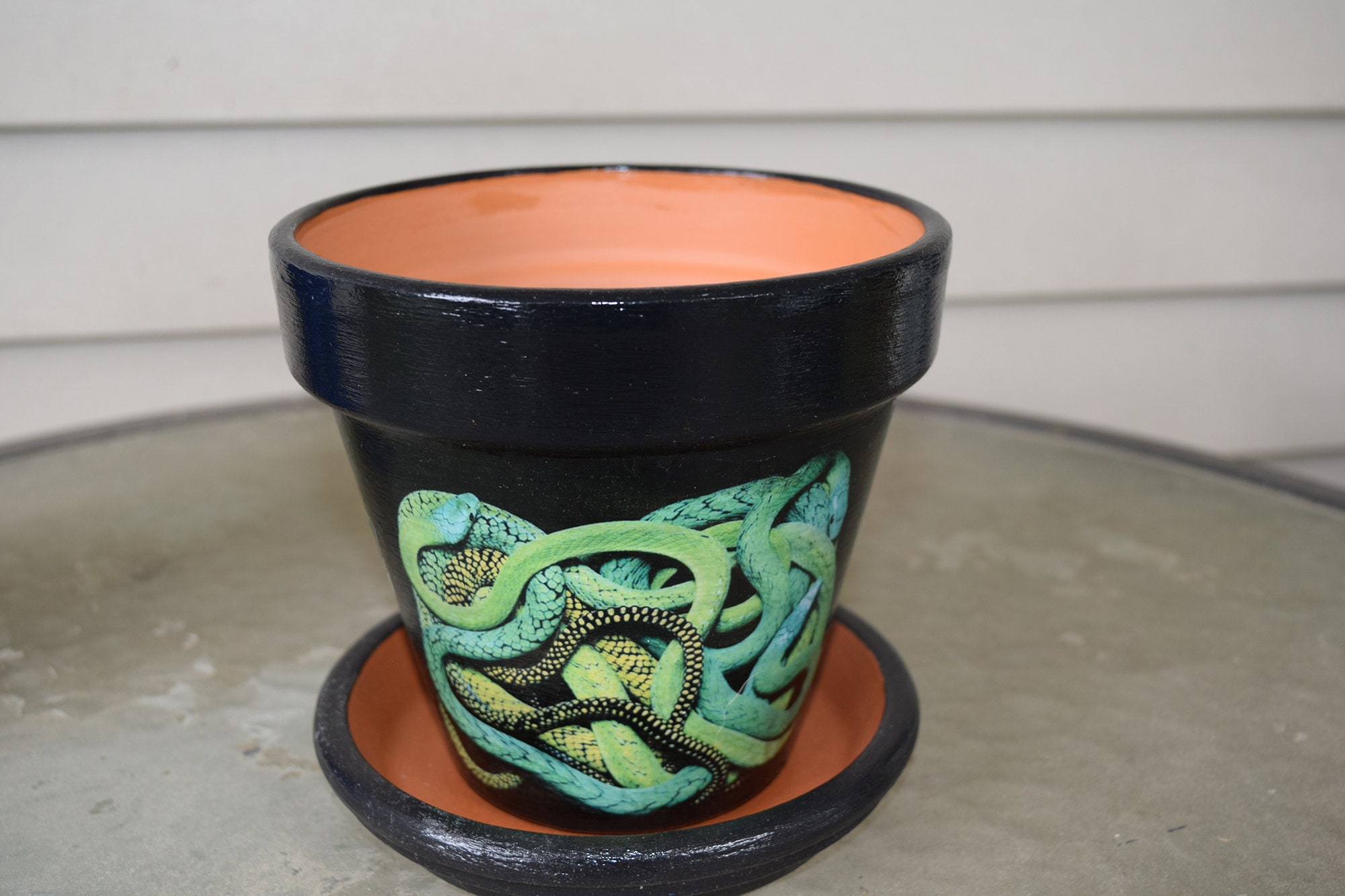 Exotic Snake Decorative Decoupage Flower Pot and Saucer - Etsy