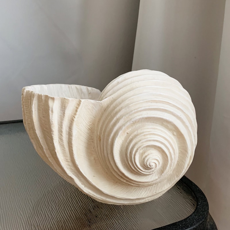 Shell Vase - Etsy