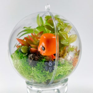 Pokémon Terrarium - Charmander - Etsy