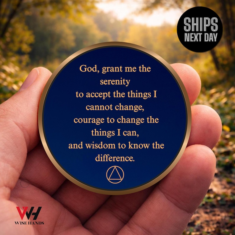 1-99 Years AA Recovery Coin,custom Autumn Mountains Soberrity Coin ...