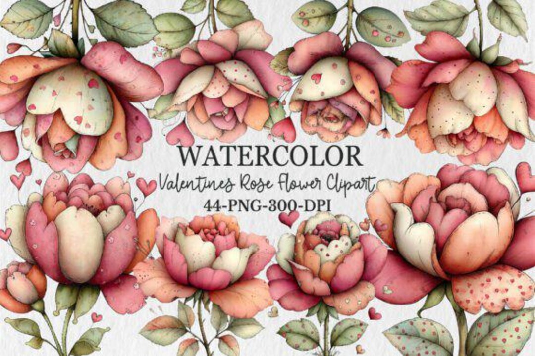 Rose Flowers Valentine Clipart, 44 Watercolor Rose PNG Bundle, Romantic ...