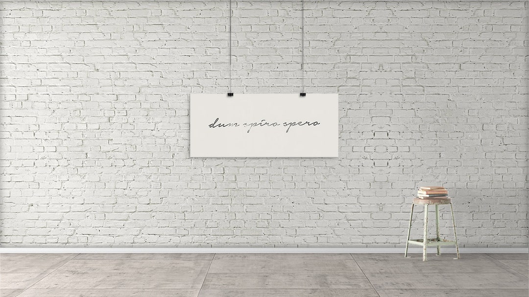 Dum Spiro Spero - While I Breathe, I Hope - Print on Canvas - Natural ...