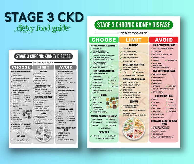 Stage 3 CKD Diet Food List, Renal Diet Chart, Printable PDF - Etsy