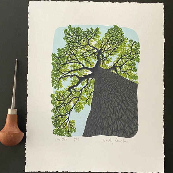 Oak Tree Print - Etsy
