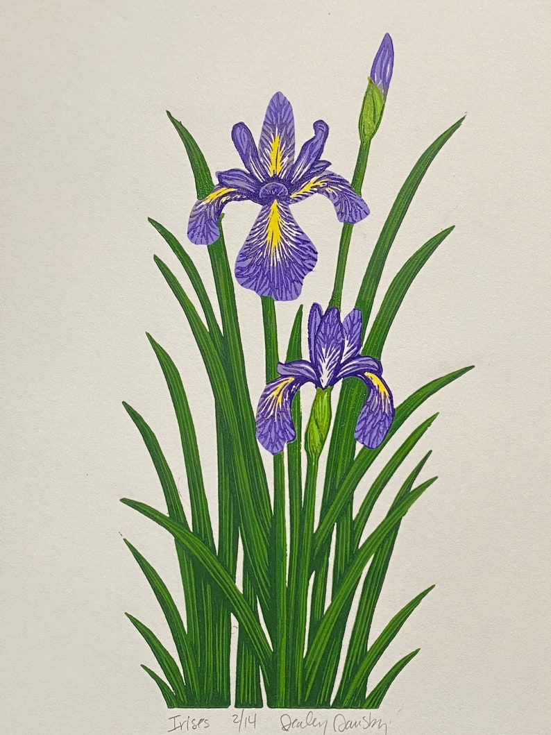 Irises, Limited Edition Reduction Print, Nature Print - Etsy