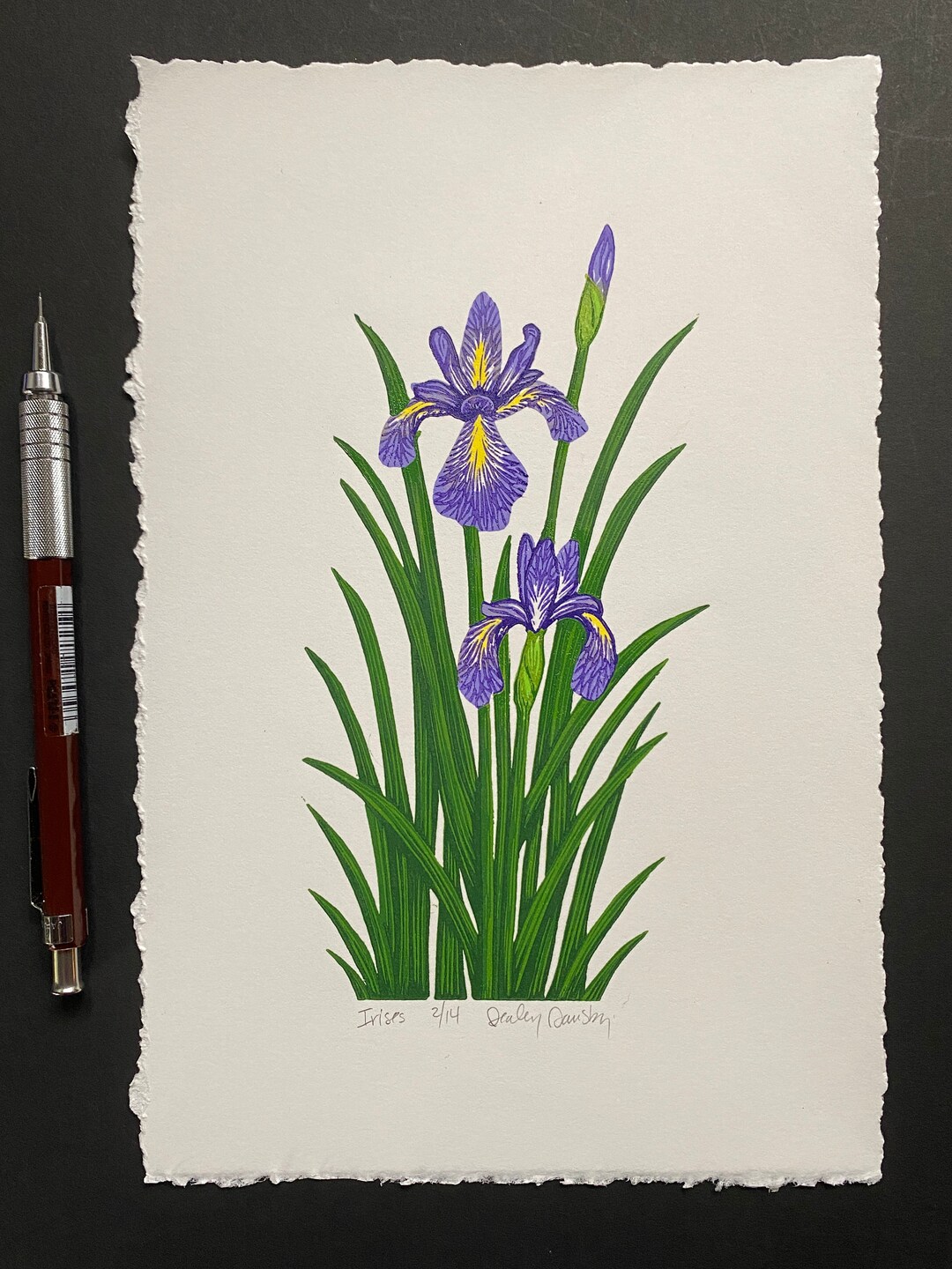 Irises, Limited Edition Reduction Print, Nature Print - Etsy
