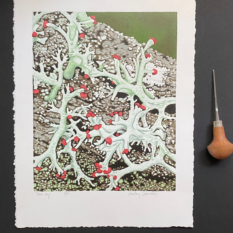 Lichen - Etsy