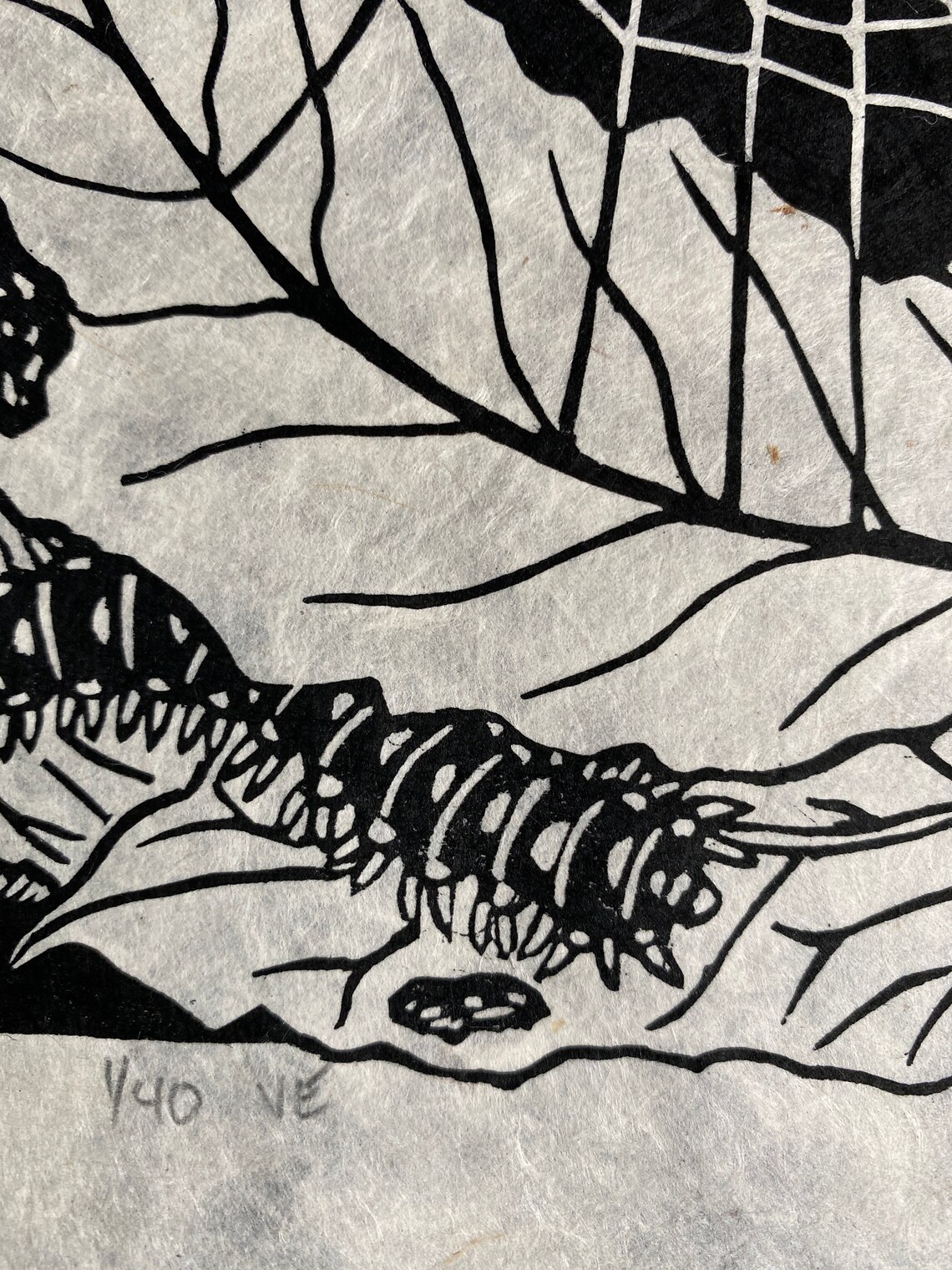 Forest Floor Lino Print Nature print | Etsy