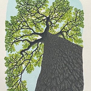 Live Oak, Limited Edition Reduction Print, Tree, Treescape - Etsy