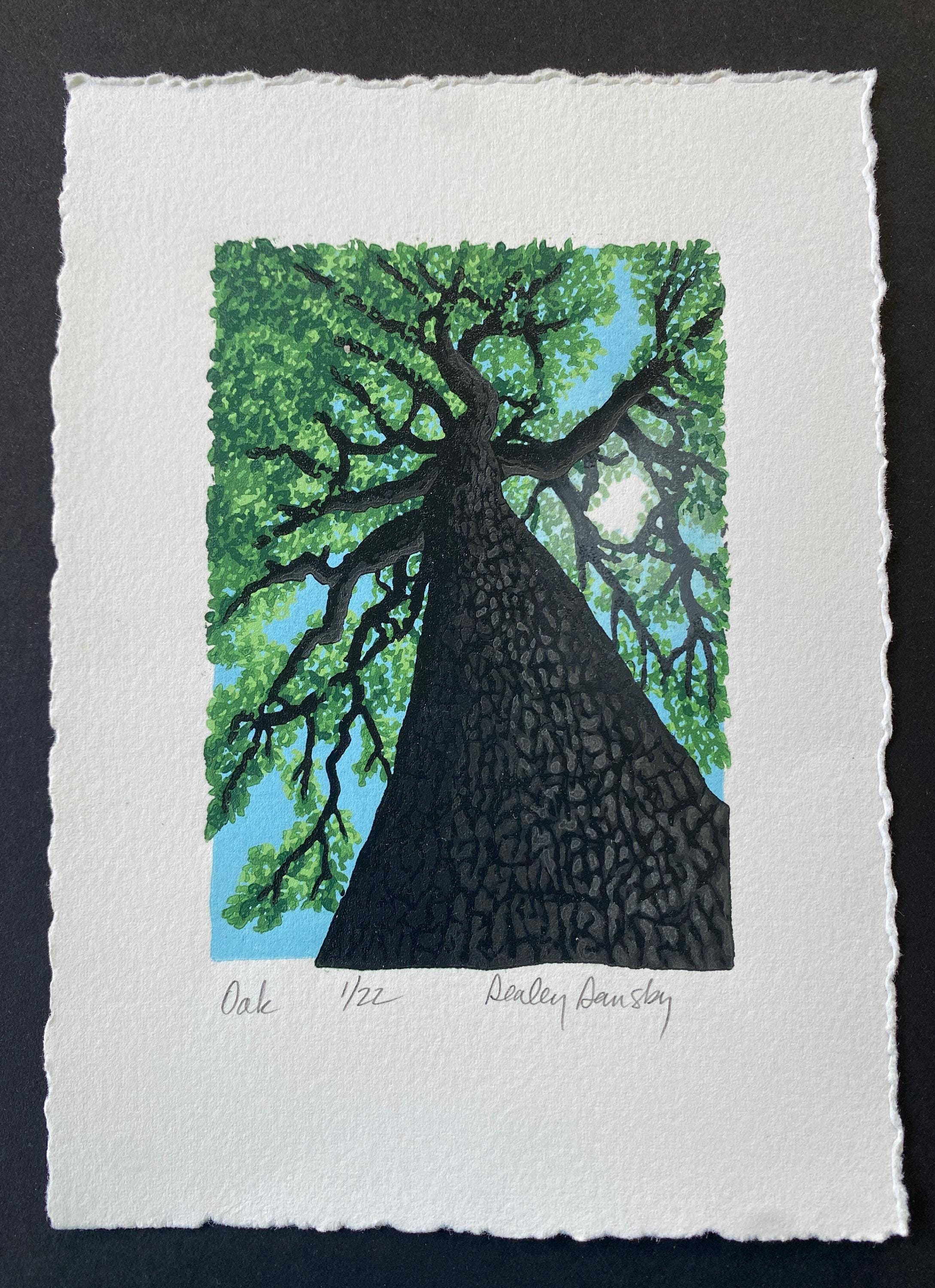 Oak, Limited Edition Reduction Lino Print, Live Oak, Tree - Etsy