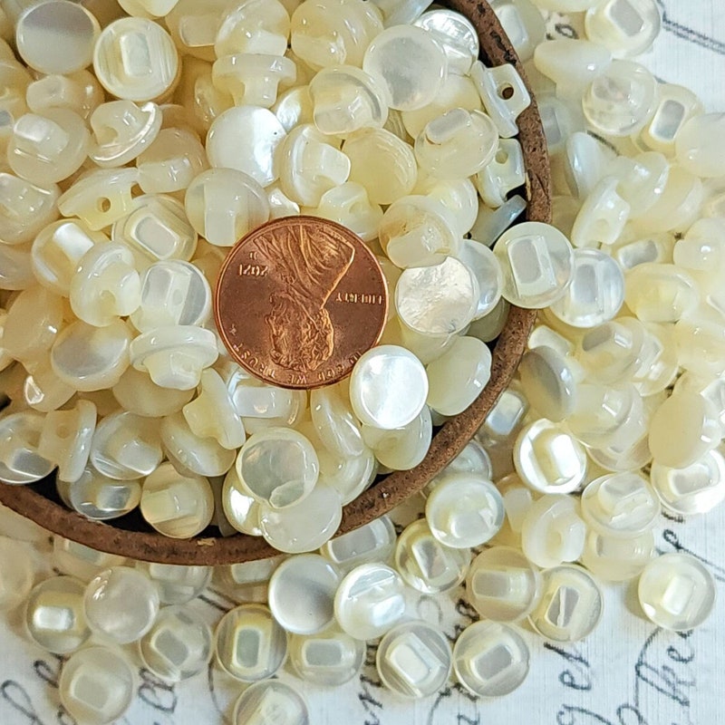 9mm Shank Shell Buttons - Etsy