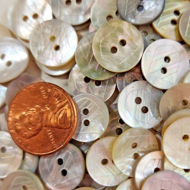 Engraved Shell - Etsy