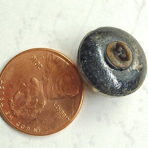 Realistic Eagle Foot Claws Talons Antique Domed Black - Etsy