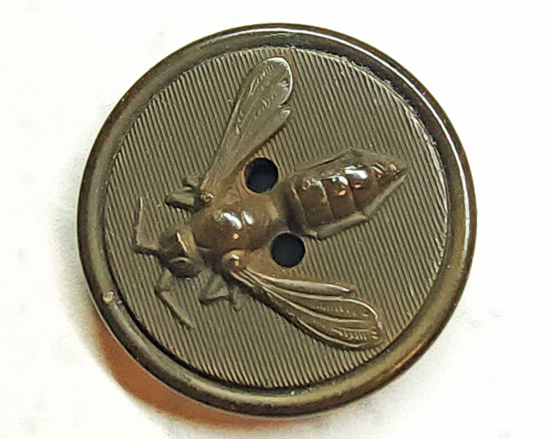 Antique Goodyear Rubber Wasp Picture Button Hornet Insect - Etsy