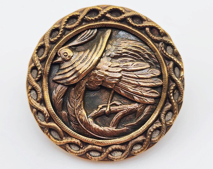 Golden Pheasant ~ Large Antique Bird Picture Button ~ Copper Tinted ...