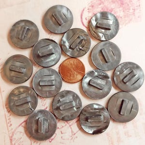 Set of 5 Vintage 1940s Silver Gray Oyster Shell Sewing Buttons Just ...