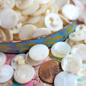 10 or 25 Vintage 1940s Pearl Oyster Shell Sewing Buttons ~ Mother of ...
