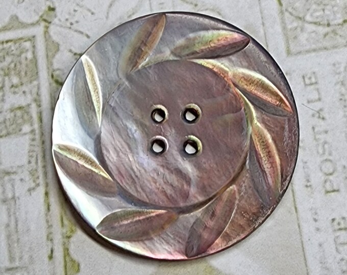 Massive XL Antique Carved Smoky Oyster Shell Coat Button Pinwheel ...