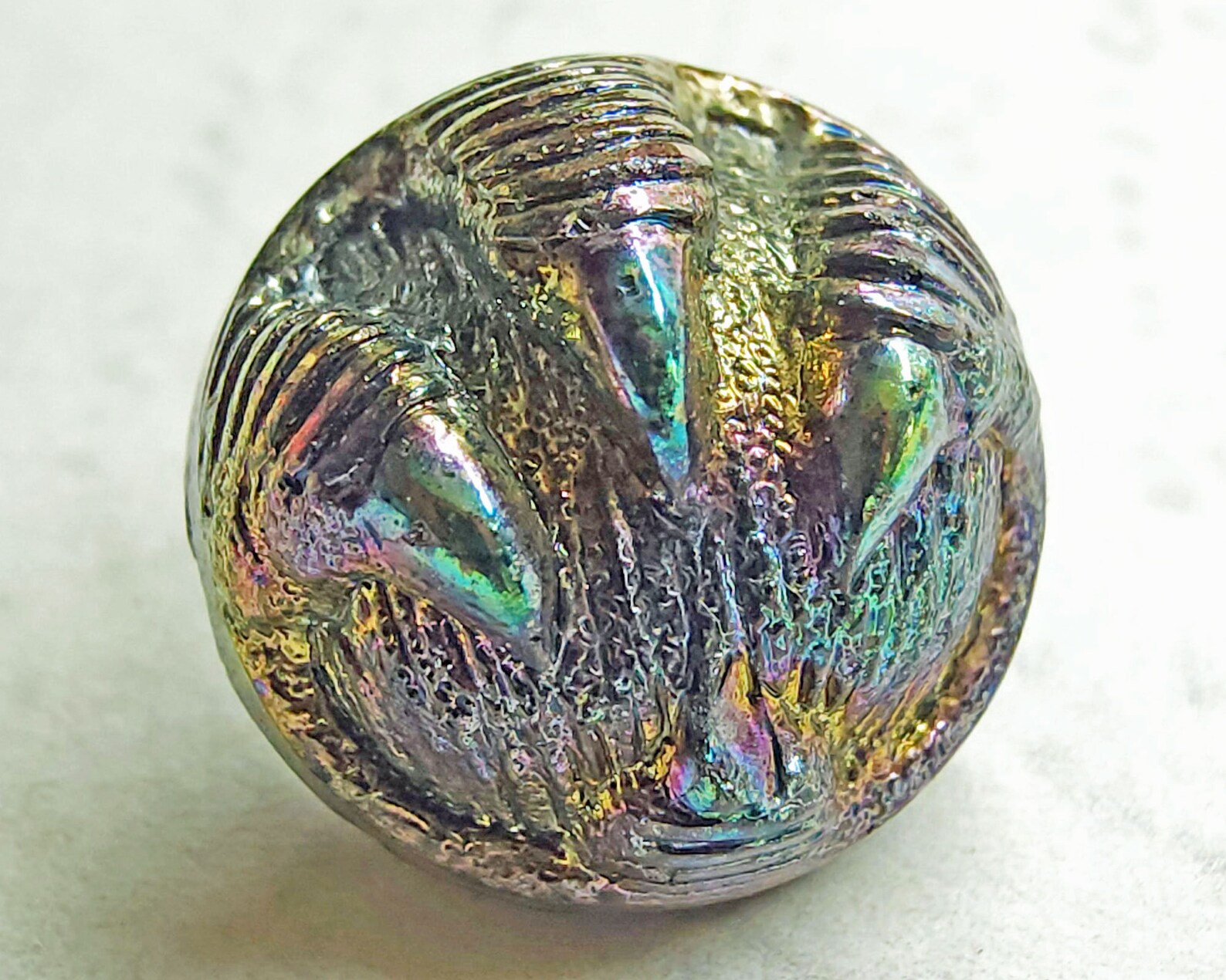 Realistic Eagle Foot Claws Talons Antique Domed Black - Etsy