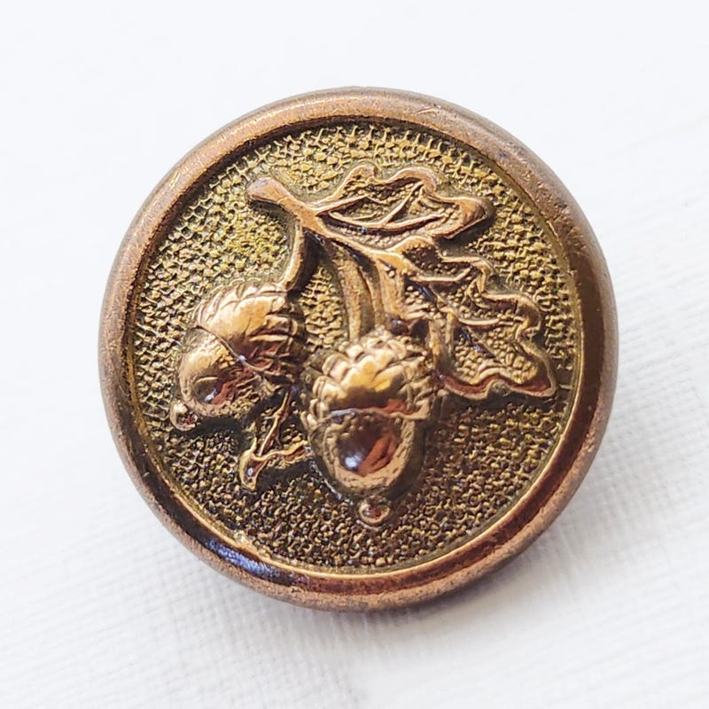 Acorn Button - Etsy