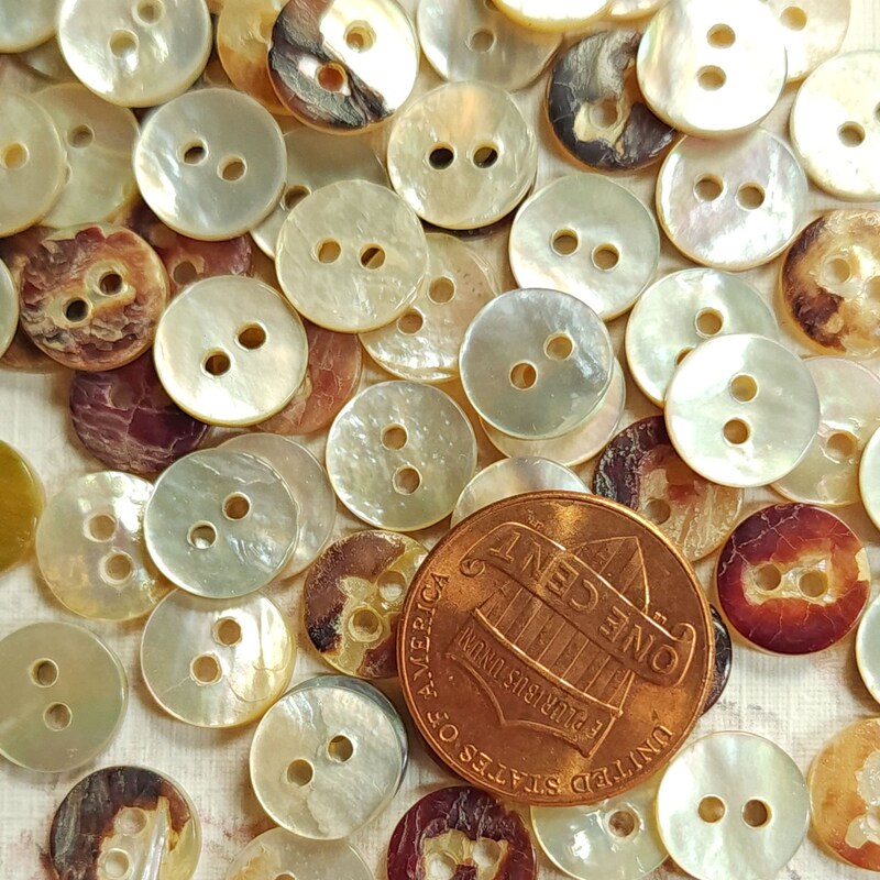 Abalone Buttons - Etsy