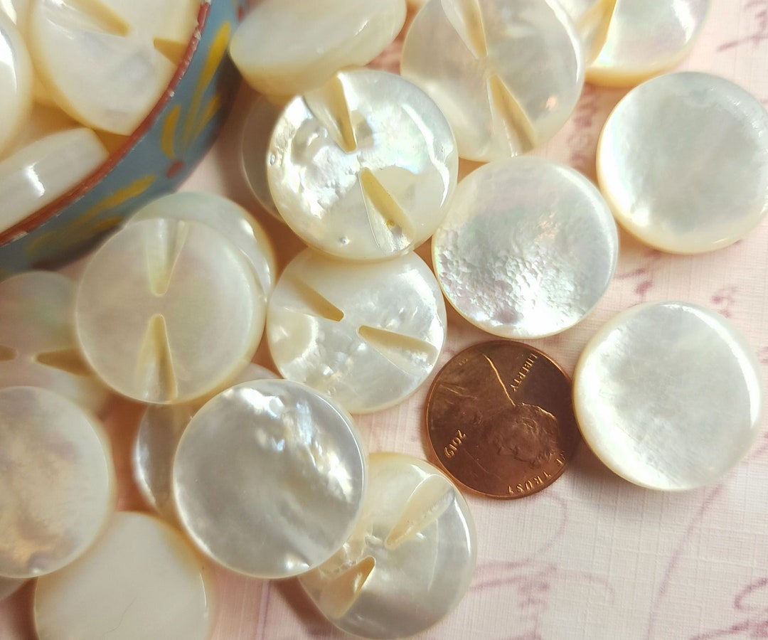 4 Gorgeous Thick Pearl Oyster Shell Sewing Buttons Lustrous Creamy ...