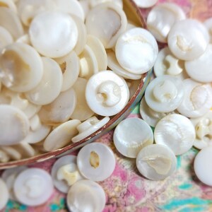 10 or 25 Vintage 1940s Pearl Oyster Shell Sewing Buttons ~ Mother of ...