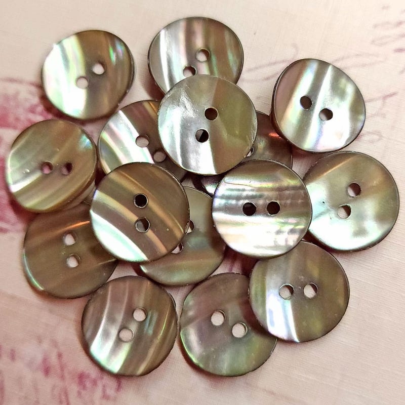 Abalone Buttons - Etsy