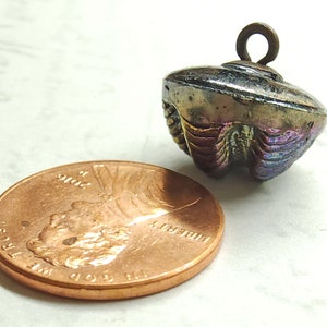 Realistic Eagle Foot Claws Talons Antique Domed Black - Etsy