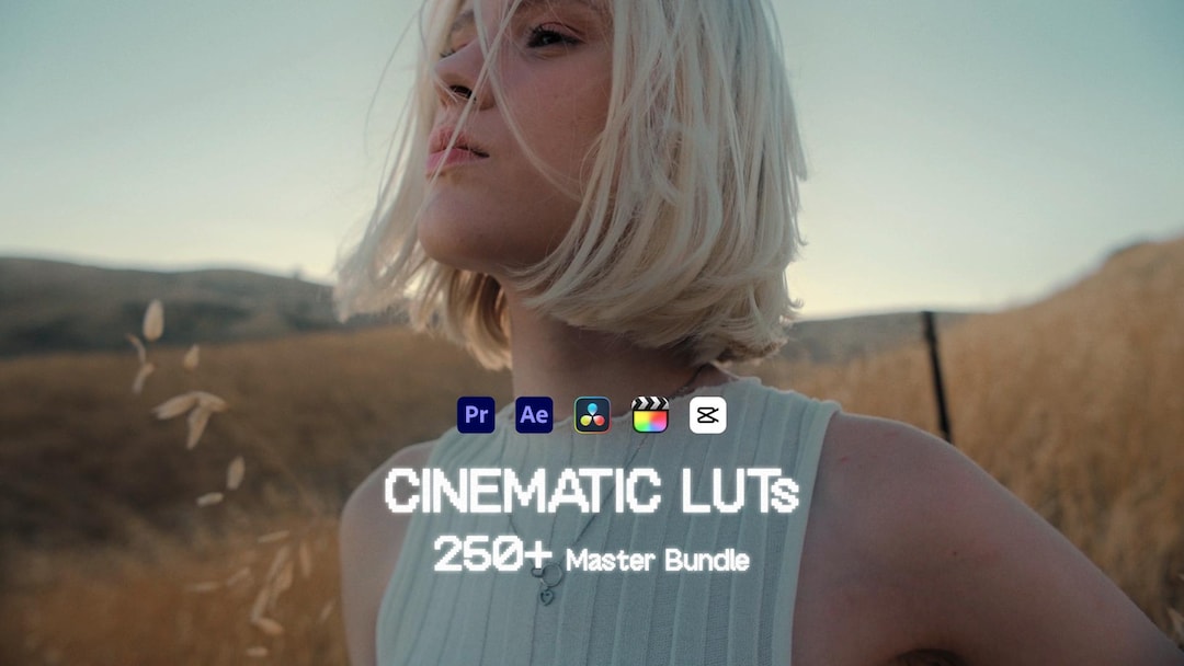 Cinematic Luts Master Bundle - 250+ Luts Pack | Film Look Color Grading ...