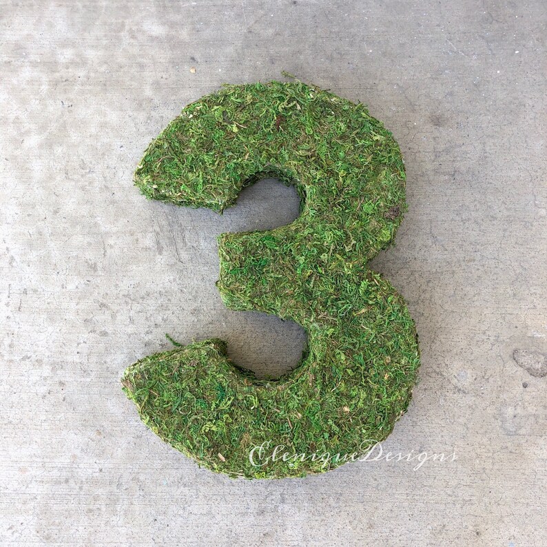 Moss Number for Garden or Woodland themed Parties/Photo Shoot | Etsy