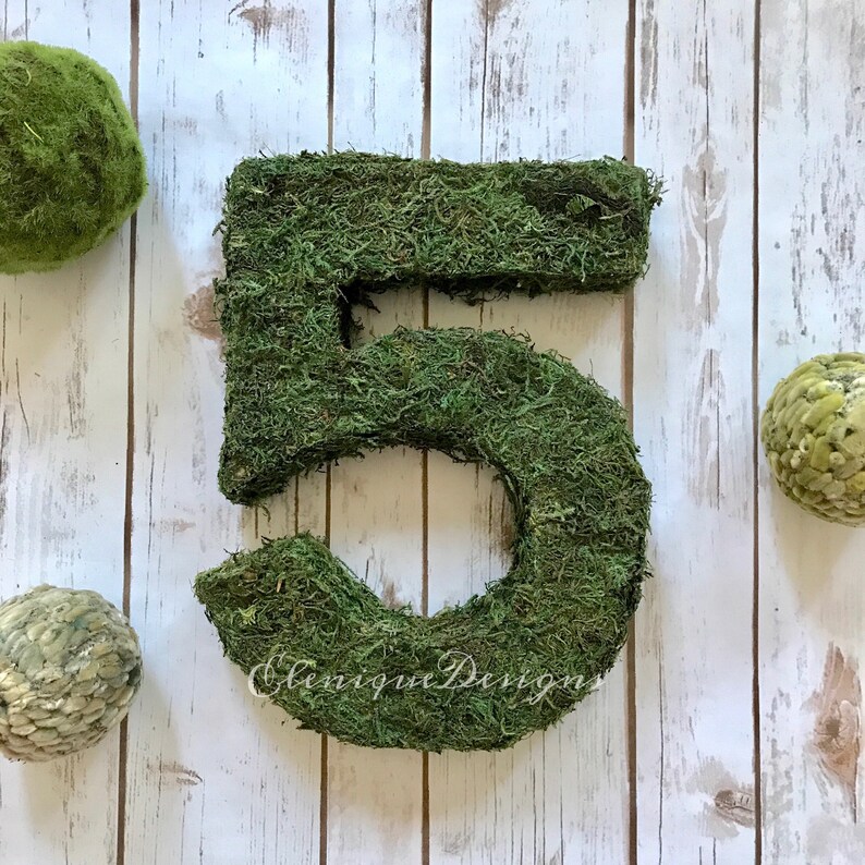 Moss Number for Garden or Woodland themed Parties/Photo Shoot | Etsy