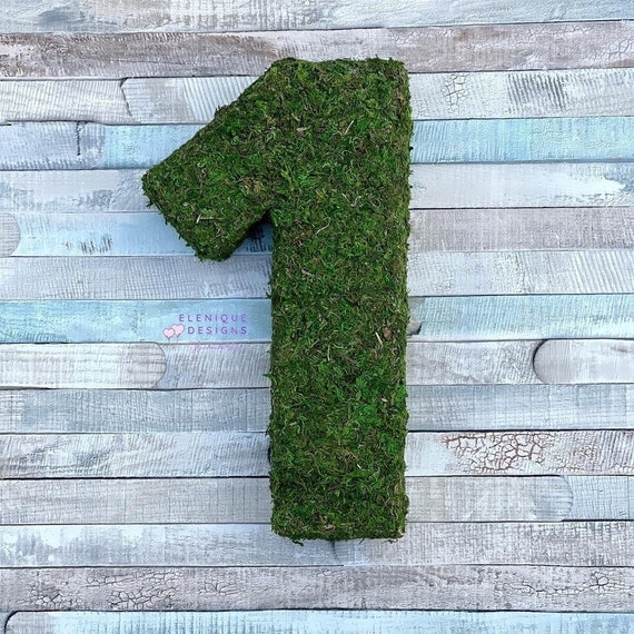 Moss Number for Garden or Woodland themed Parties/Photo Shoot by ...