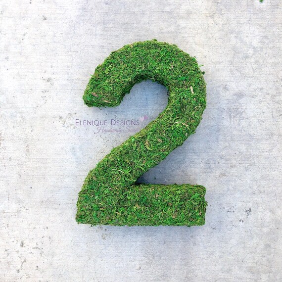 Moss Number for Garden or Woodland themed Parties/Photo Shoot | Etsy