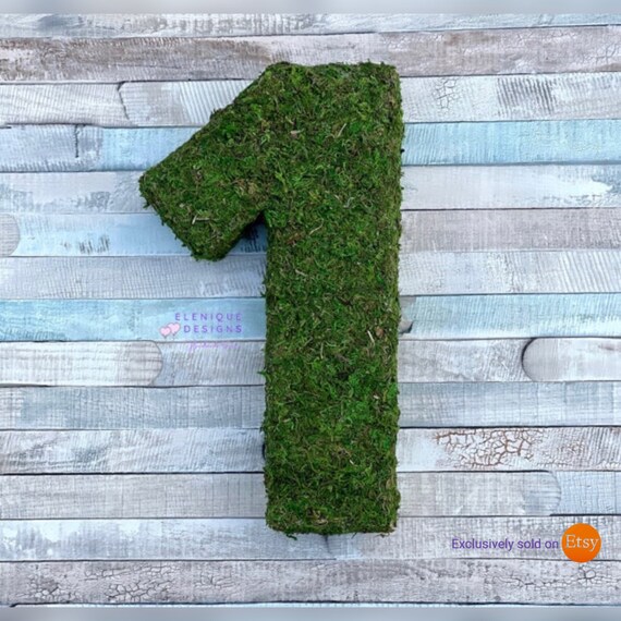 Moss Number for Garden or Woodland Themed Parties/photo Shoot | Etsy