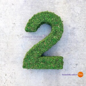 Moss Number for Garden or Woodland Themed Parties/photo Shoot | Etsy