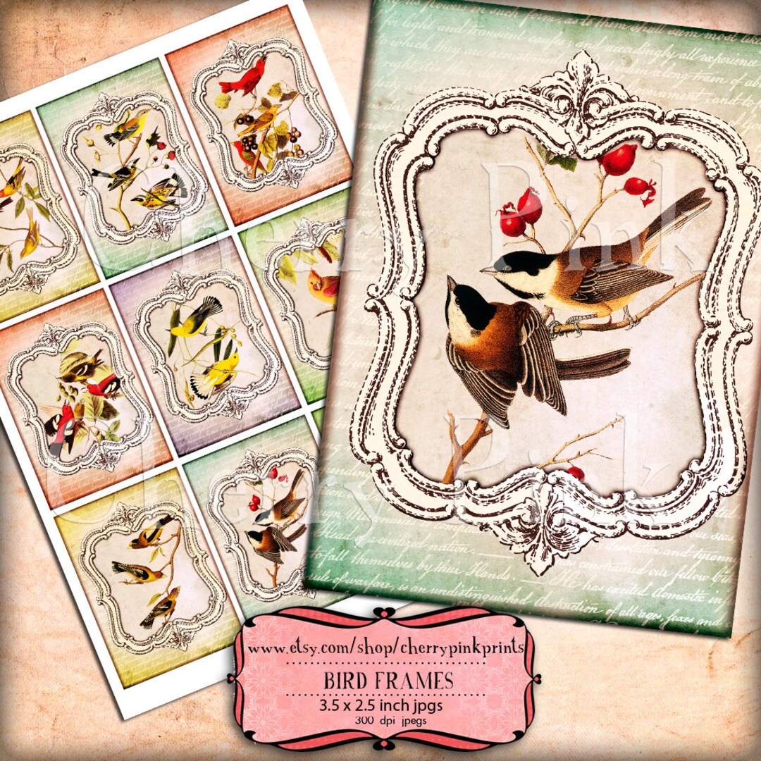 Digital Collage Sheet BIRD FRAMES 2.5 X 3.5 , Ephemera Great for ...
