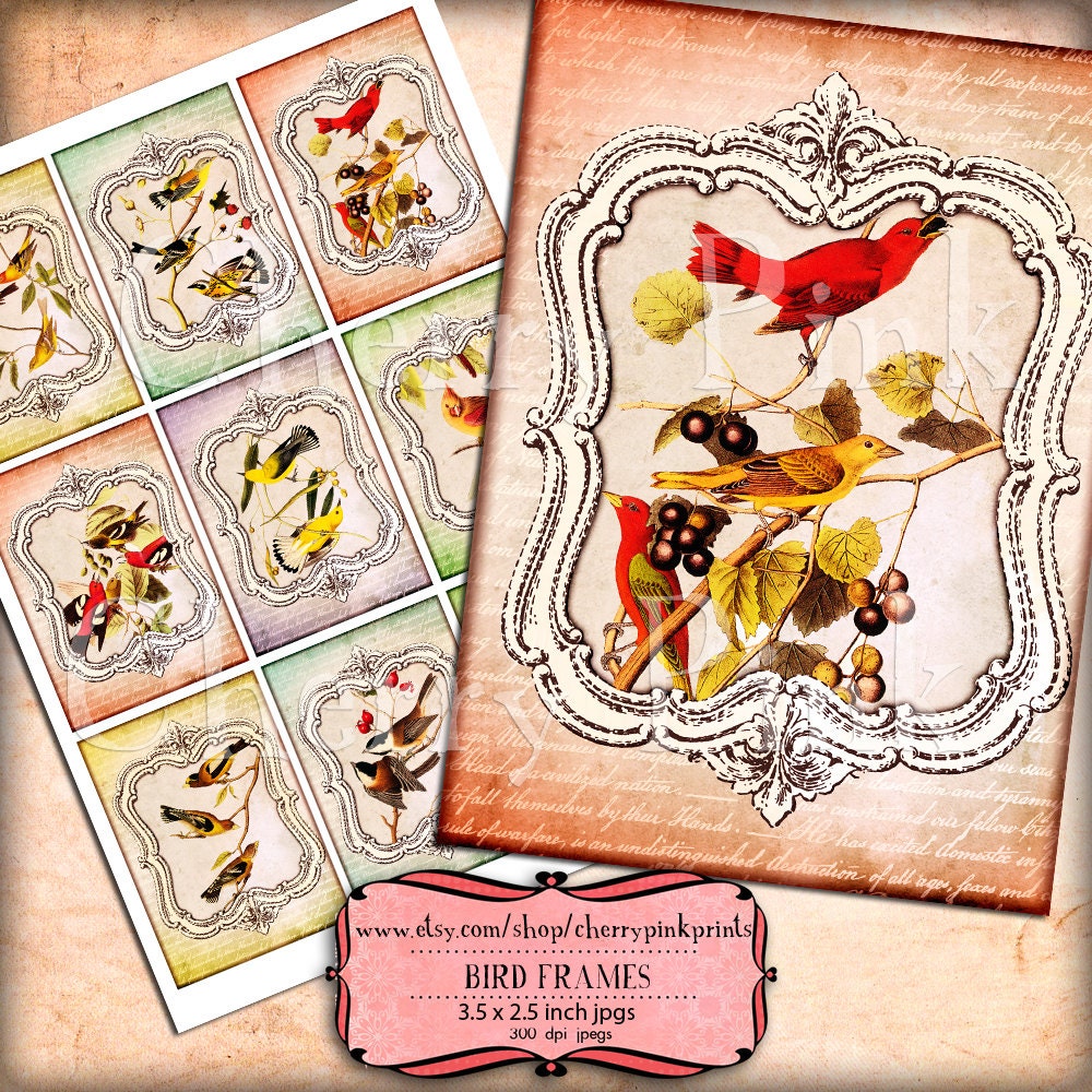 Digital collage sheet BIRD FRAMES 2.5 x 3.5 ephemera great | Etsy