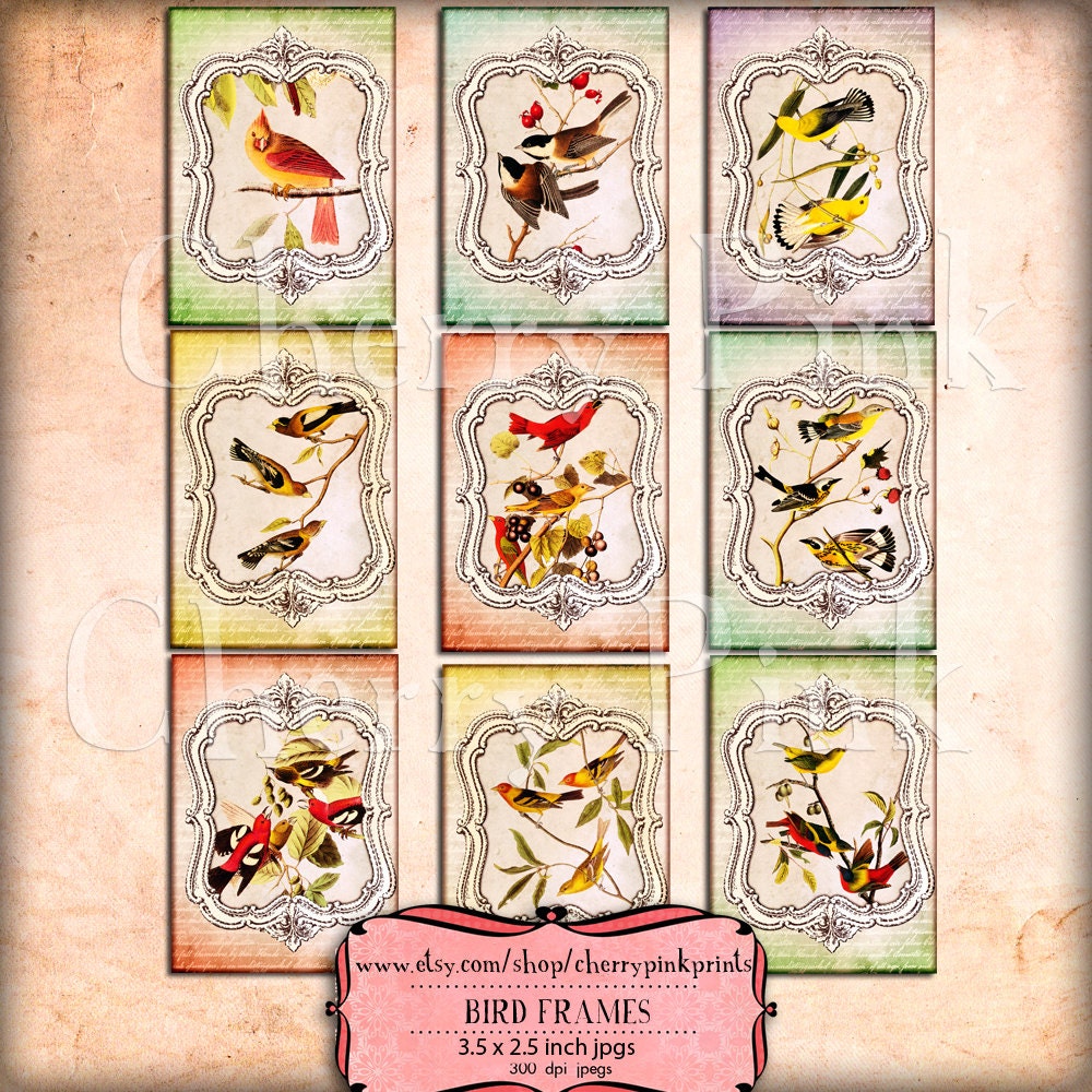 Digital collage sheet BIRD FRAMES 2.5 x 3.5 ephemera great | Etsy