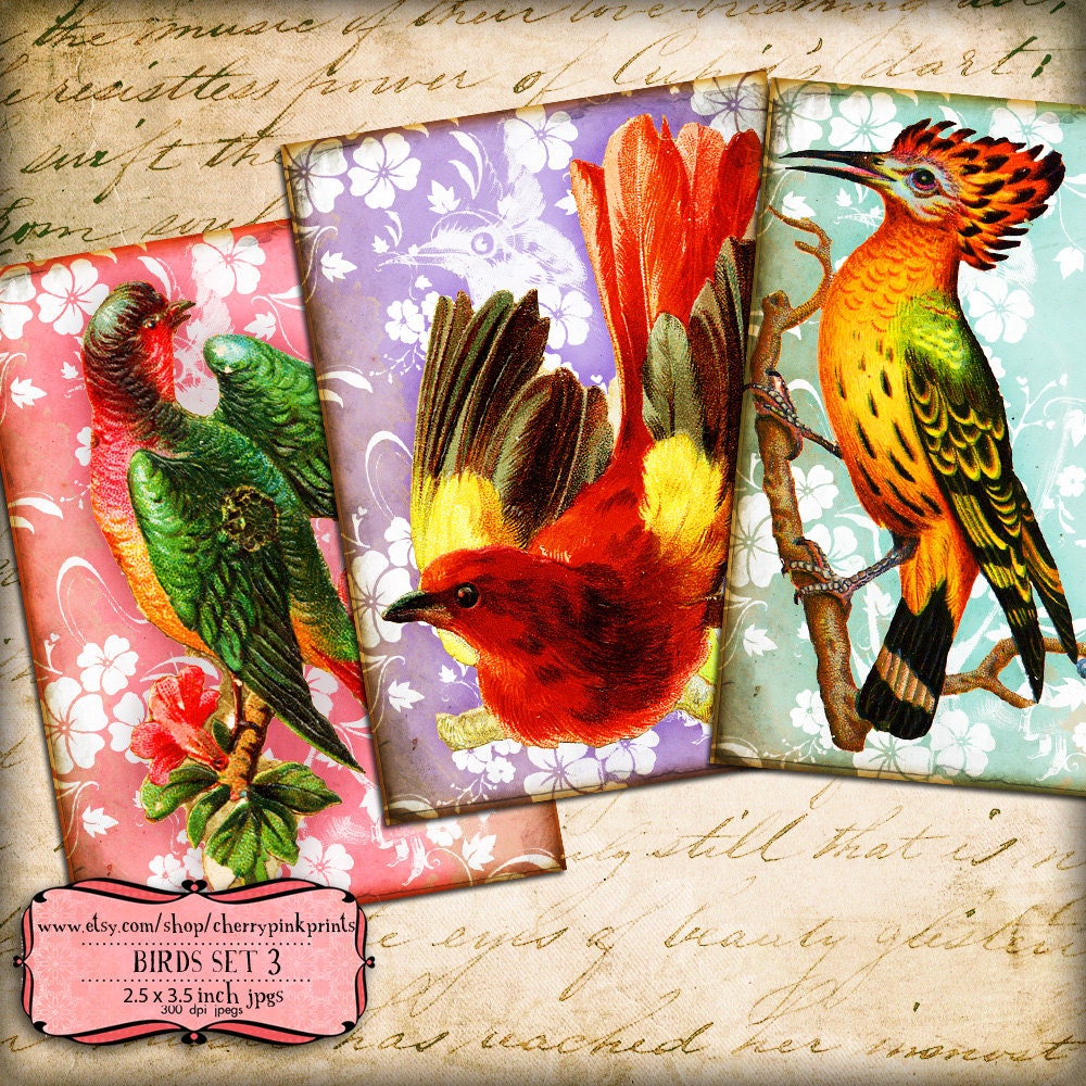 BRIGHT BIRD Digital Collage Sheet Printable Download Gift Tags Vintage ...