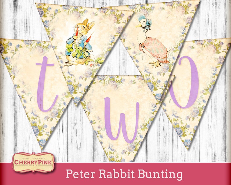 Peter Rabbit birthday party bunting second birthday party | Etsy