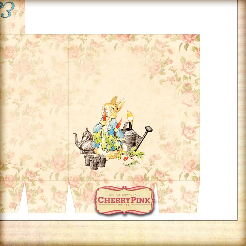 Peter Rabbit Favor Bag Peter Rabbit party decoration Diy | Etsy