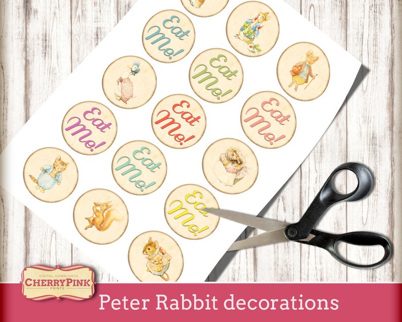 Peter Rabbit Decorations Cake Topper Party Printable - Etsy UK