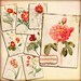 RED FLOWER Collage Sheet, Jpg Premade Page, 3.5 X 5 Inch Digital ...