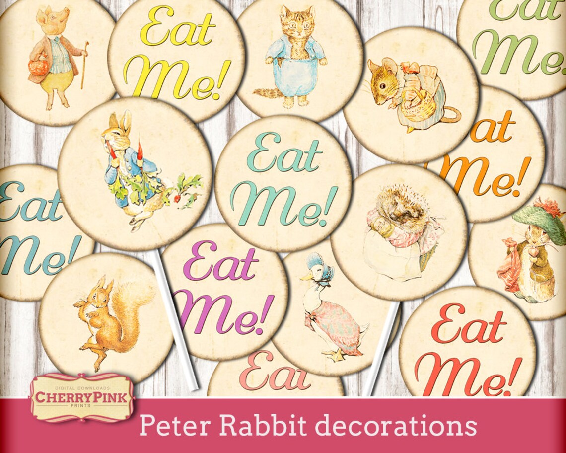 Peter Rabbit decorations cake topper party printable | Etsy