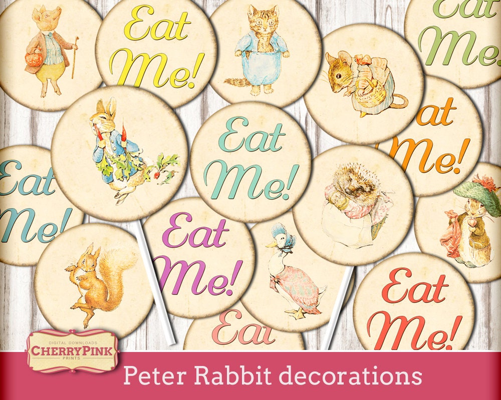 Peter Rabbit decorations cake topper party printable | Etsy